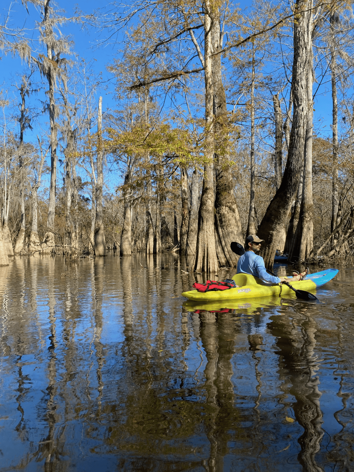 Kayaking the Honey Island Swamp - Episode #125 - Beyond Bourbon Street